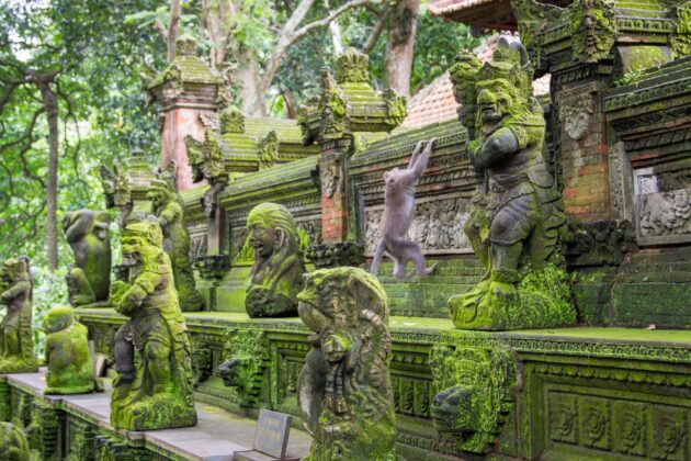 Sacred Monkey Forest Sanctuary (Indonesia) Travel Guide 2026 - Danana GO!